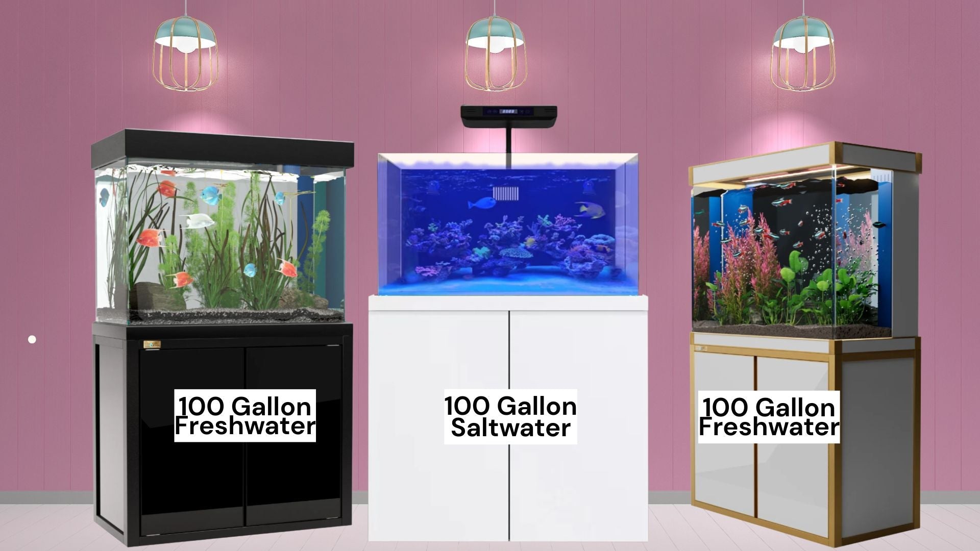 100 Gallon Fish Tank Collection — Aqua Dream USA