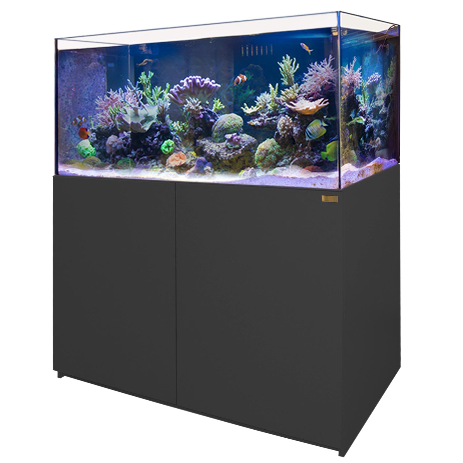 Large Saltwater Fish Tanks – Stunning Marine Aquariums for Home