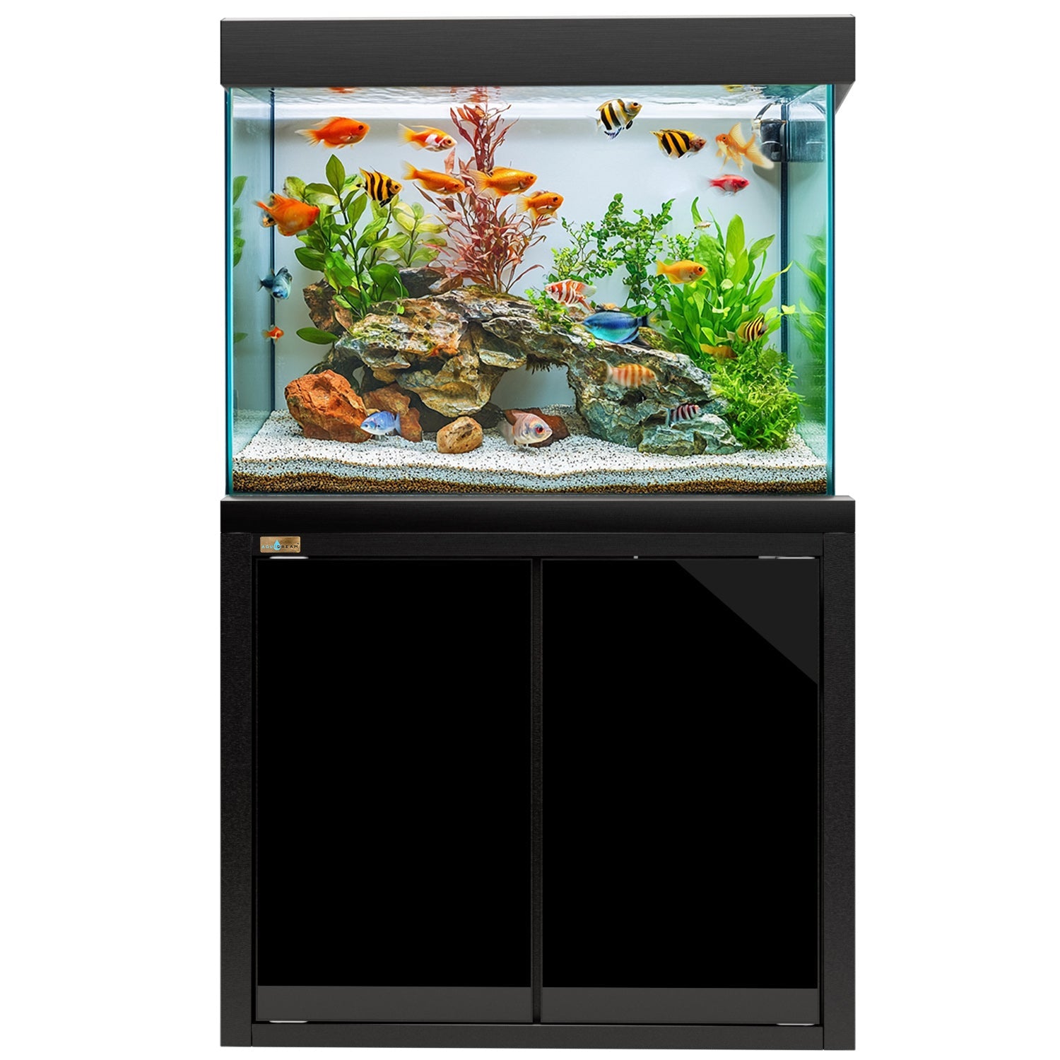 50 Gallon Fish Tank | Affordable & Premium