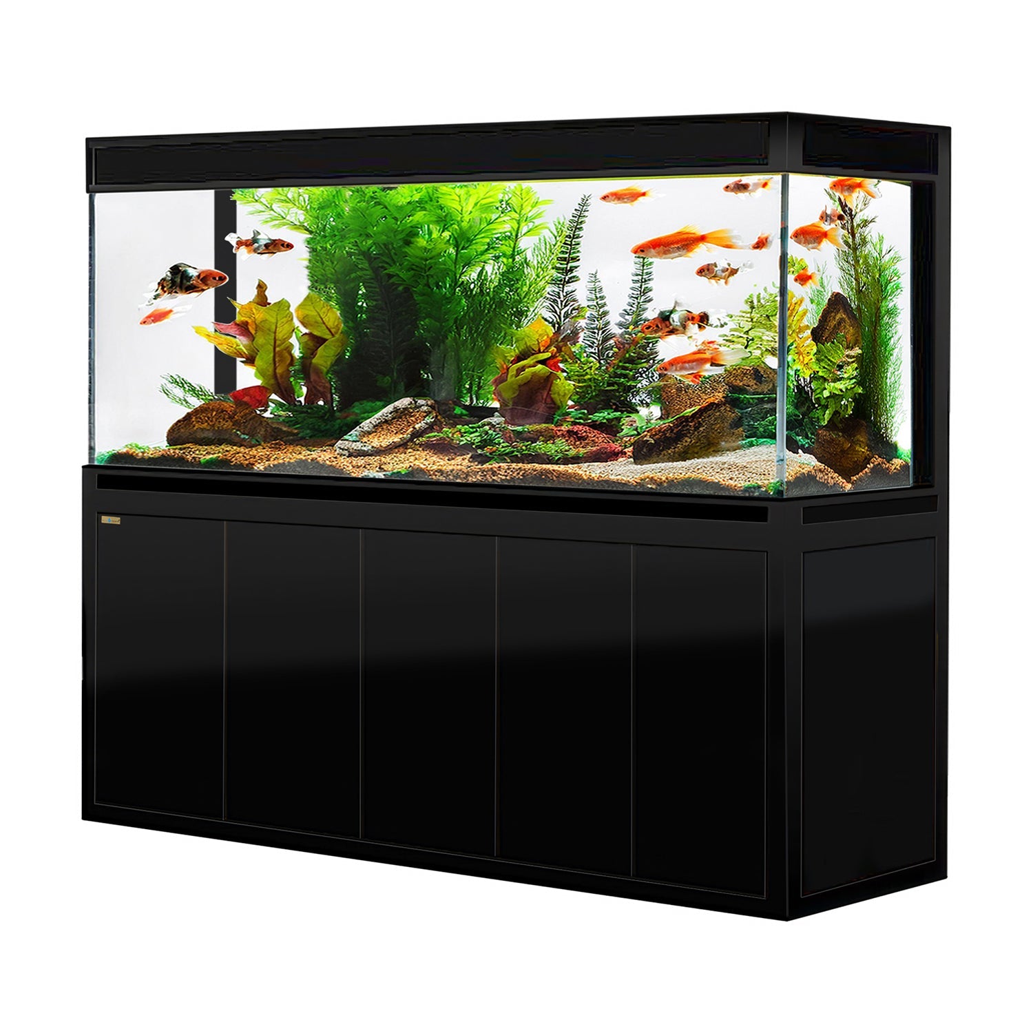 Fish Tanks for Homes | Stylish Aquariums for Every Room