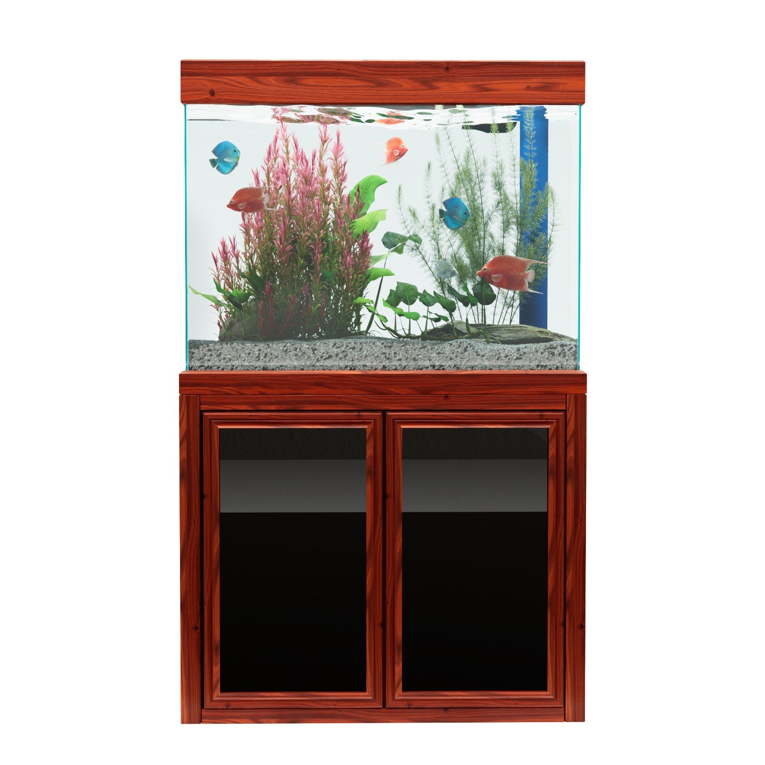 Best Small Fish Tanks – Top-Rated Nano & Desktop Aquariums
