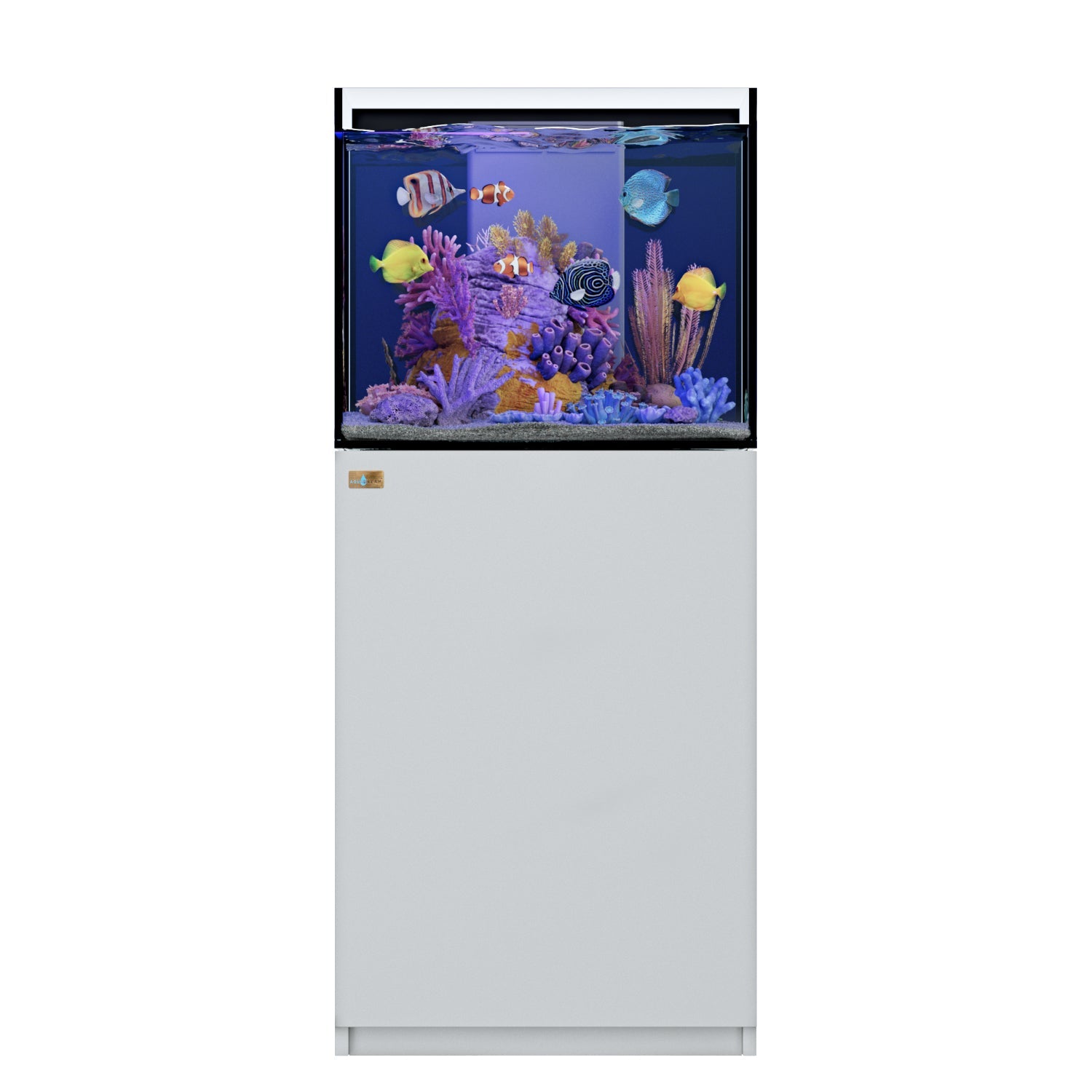 Small Saltwater Tank Collection | Compact Marine Aquariums & Kits