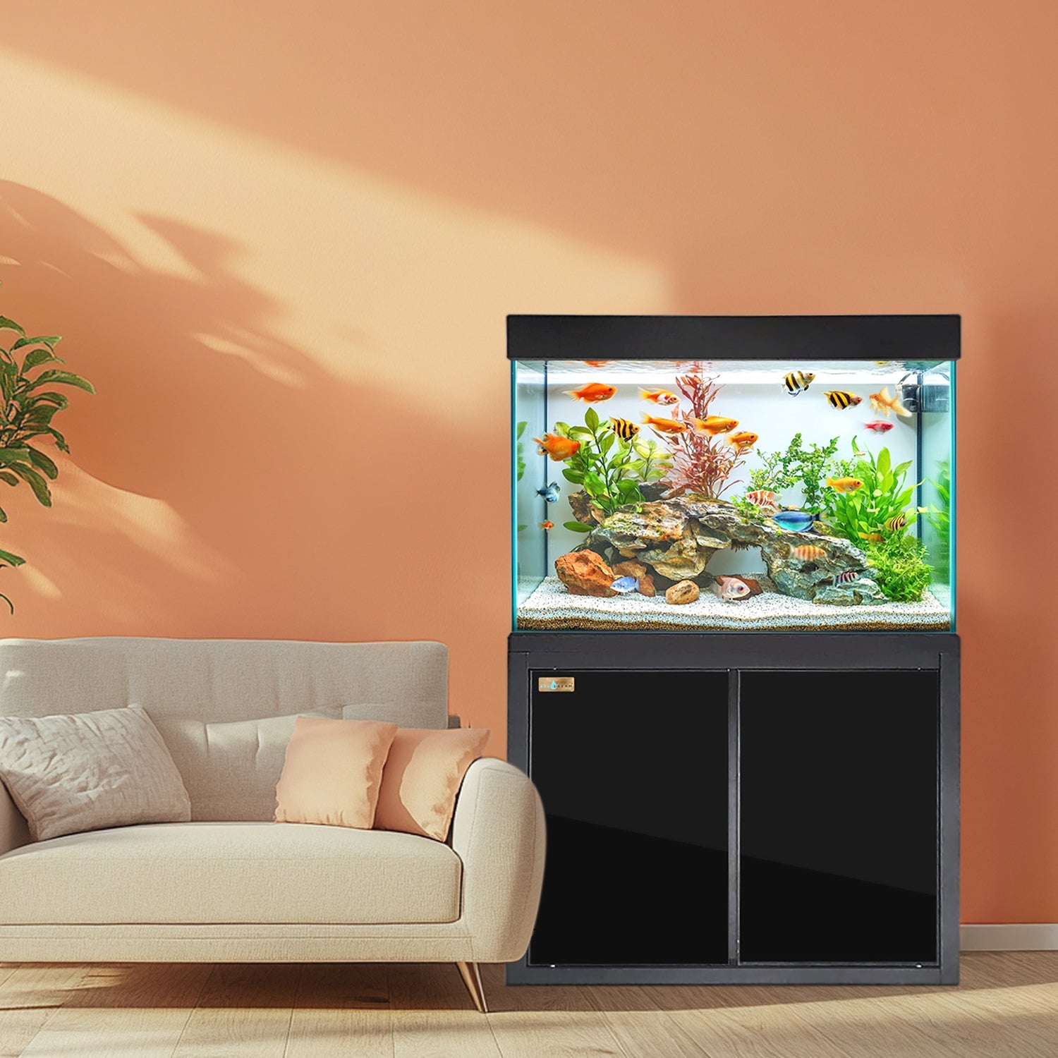 Best Tanks for Betta Fish – Stylish & Safe Setups