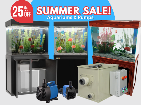 Fish Tank Pumps and Filters – Clean, Healthy Aquariums Made Easy