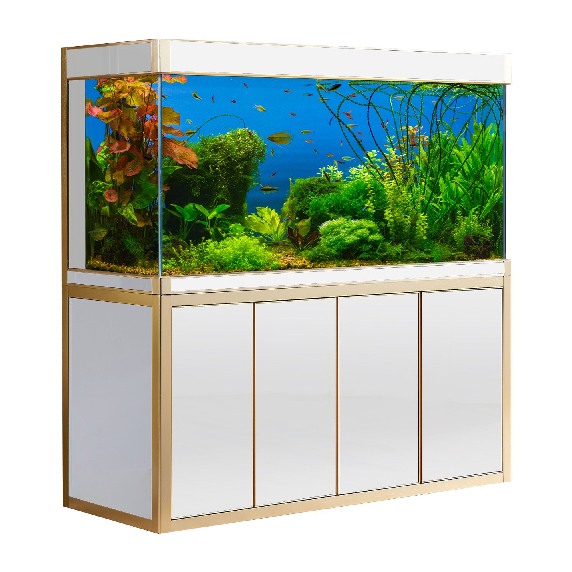 180 Gallon Tank | Large Aquarium Tanks for Fish & Reptiles
