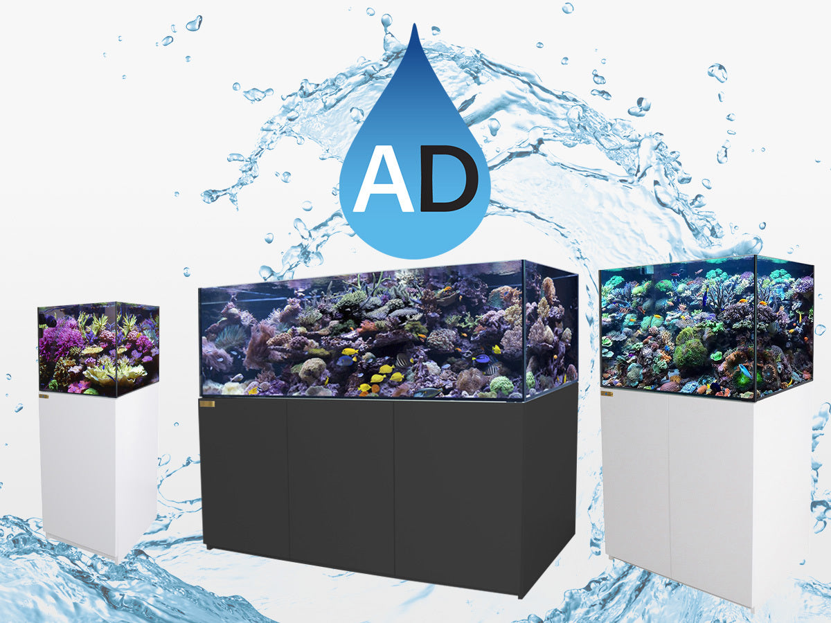 Coral Reef Aquariums and Advanced Water Pumps