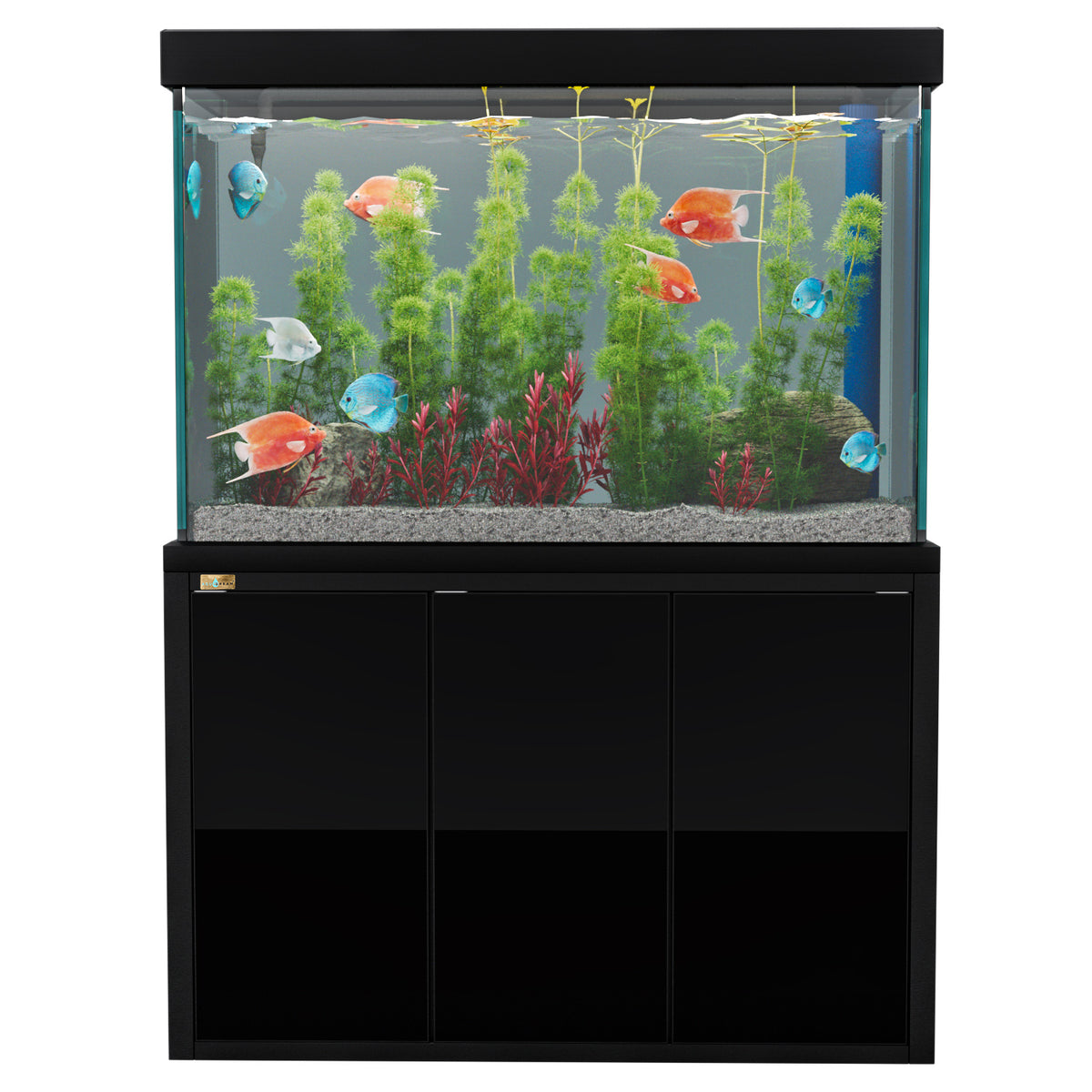 Huge Fish Tanks for Sale – Large Aquariums for Homes & Businesses