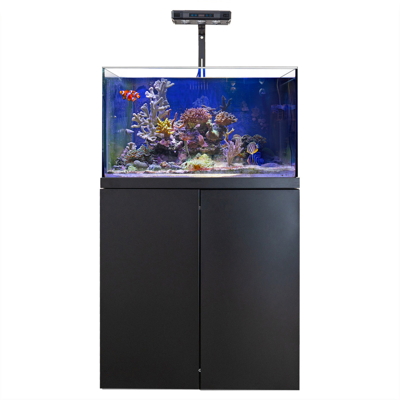 Reef Aquarium Tanks for Sale | Premium Coral-Ready Tanks