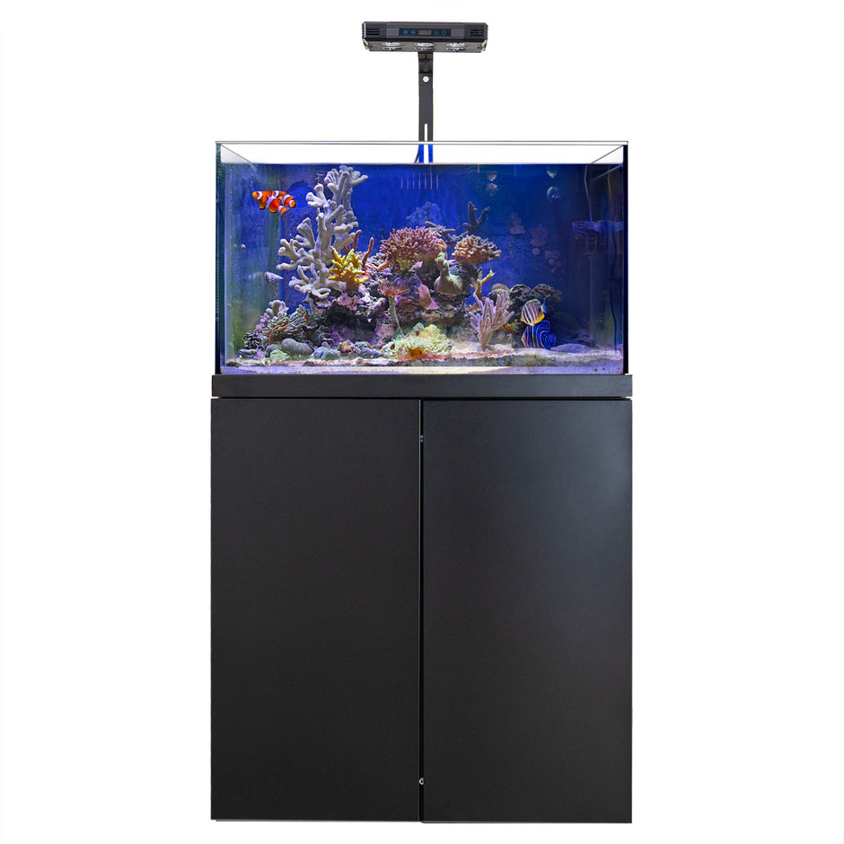 Aqua Dream Coral Reef Aquarium Tempered Glass 90 Gallon Tank Complete