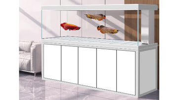 Fish Tank Store | Large & Small Aquariums for Freshwater & Saltwater