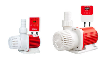 Fish Tank Store | Large & Small Aquariums for Freshwater & Saltwater