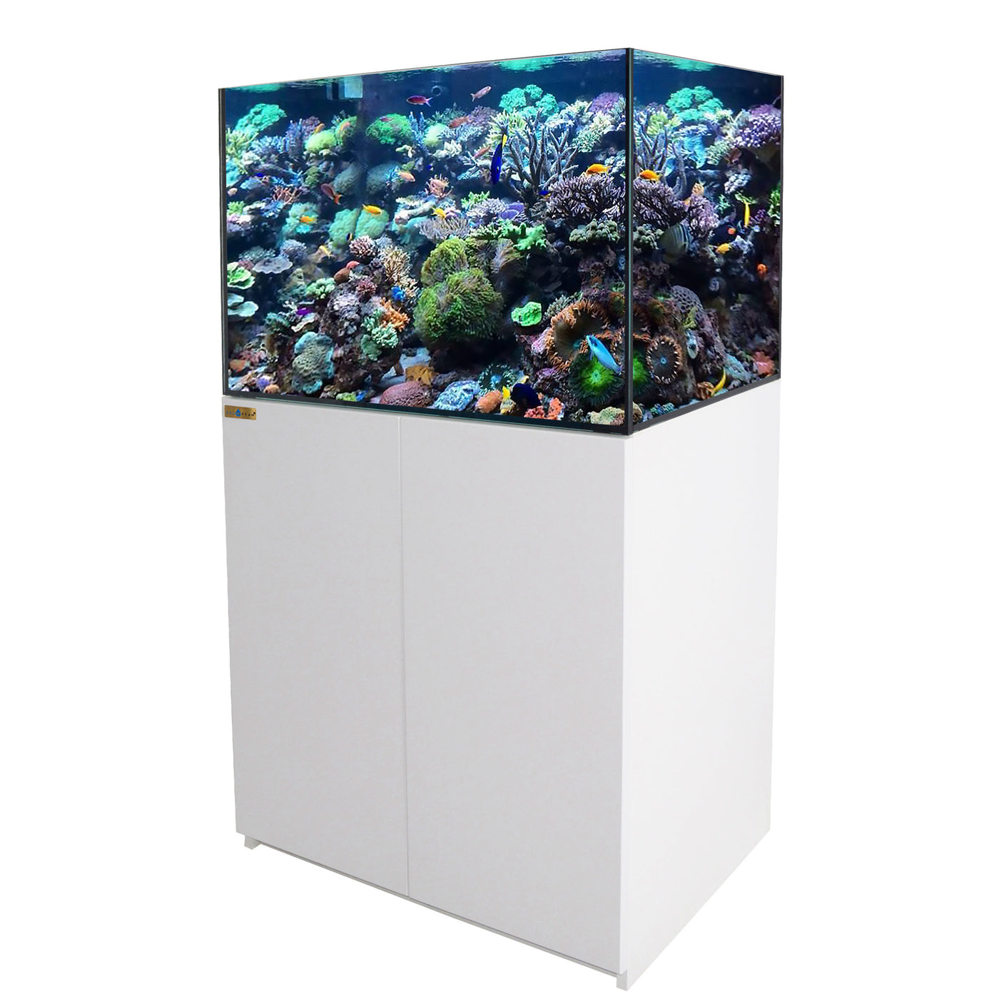 115 Gallon Coral Reef Aquarium Ultra Clear Glass Tank & Built in Sump