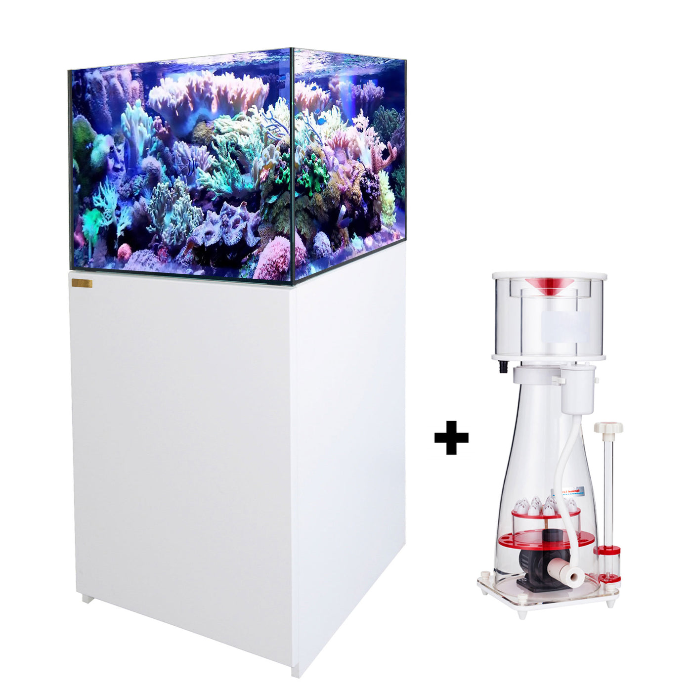 90 Gallon Coral Reef Aquarium Ultra Clear Glass Tank & Built in Sump A